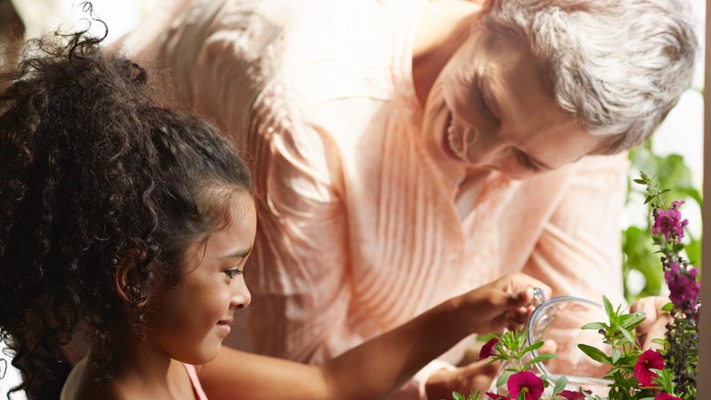 Restricted Life Income Fund (RLIF)