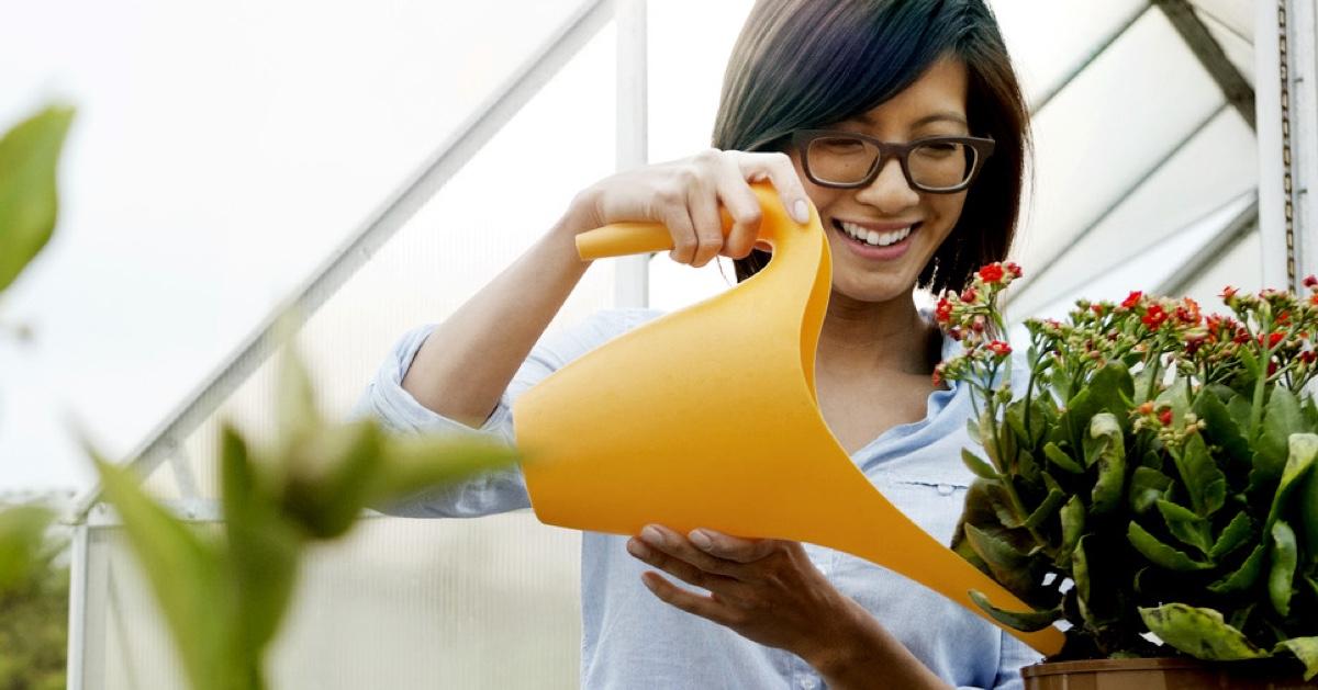 How to take advantage of compound growth