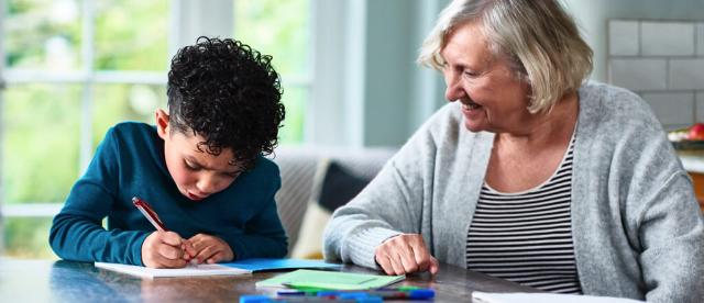 What is the Guaranteed Income Supplement?